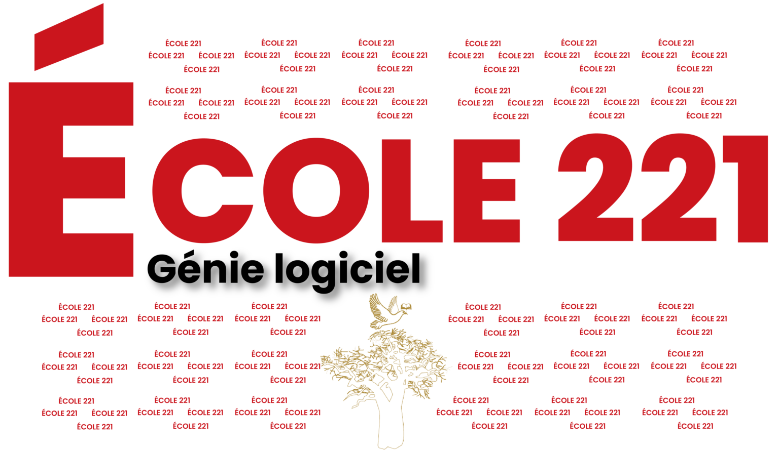 Licence Génie logiciel - Ecole supérieure professionnelle 221